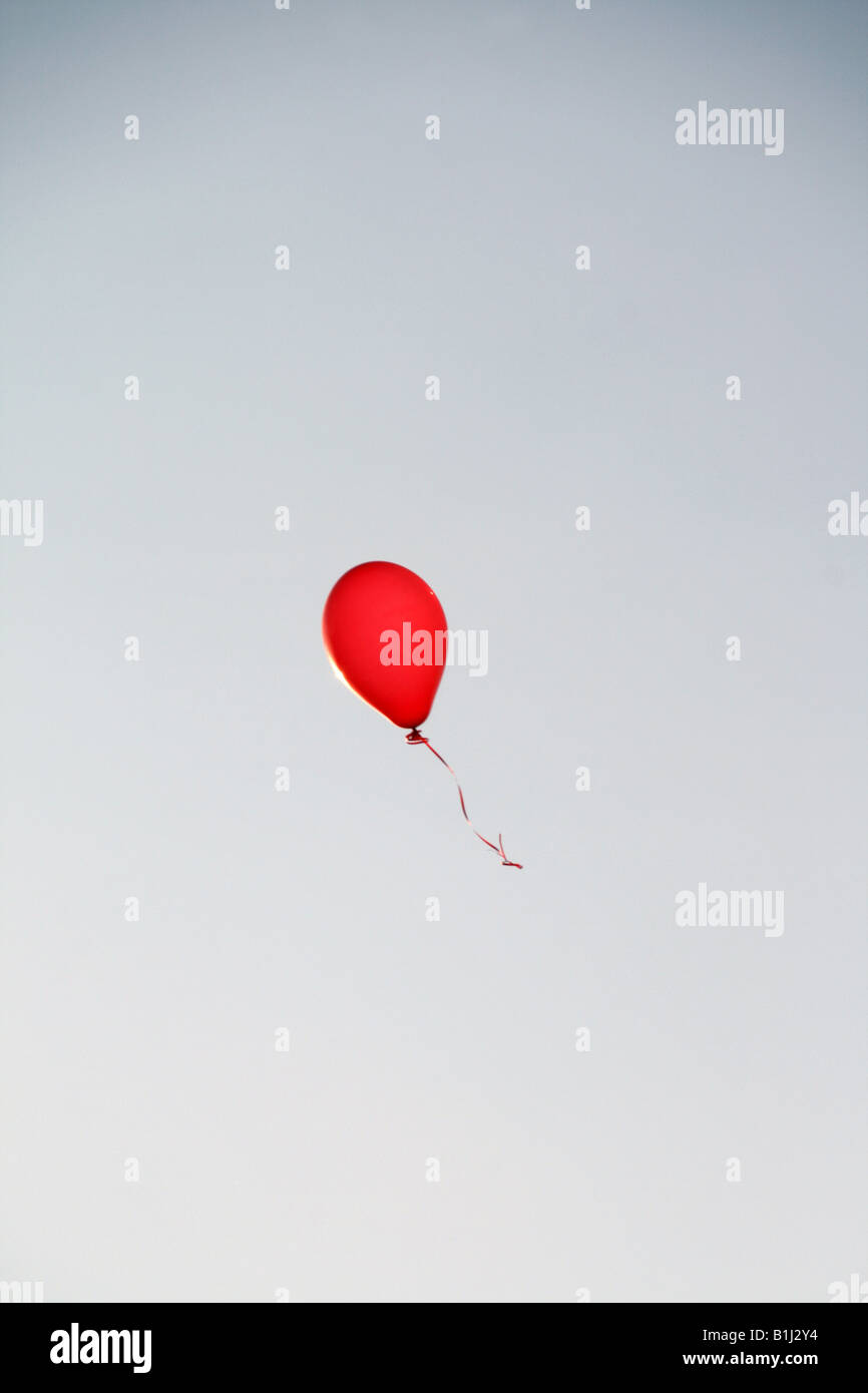 One Balloon In The Sky