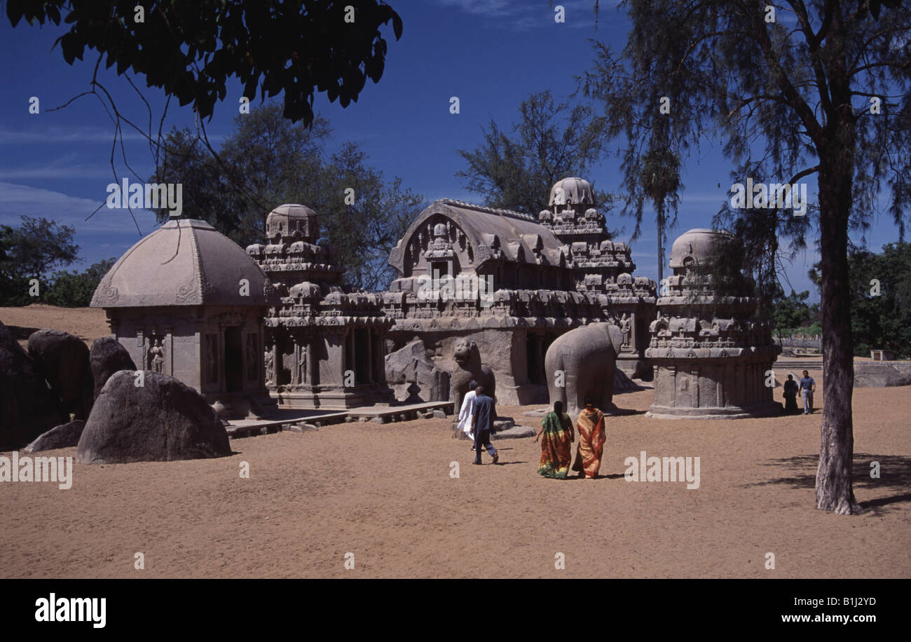 Ruins of monolithic rock-cut shrines, Dharmaraja Ratha, Mahabalipuram ...