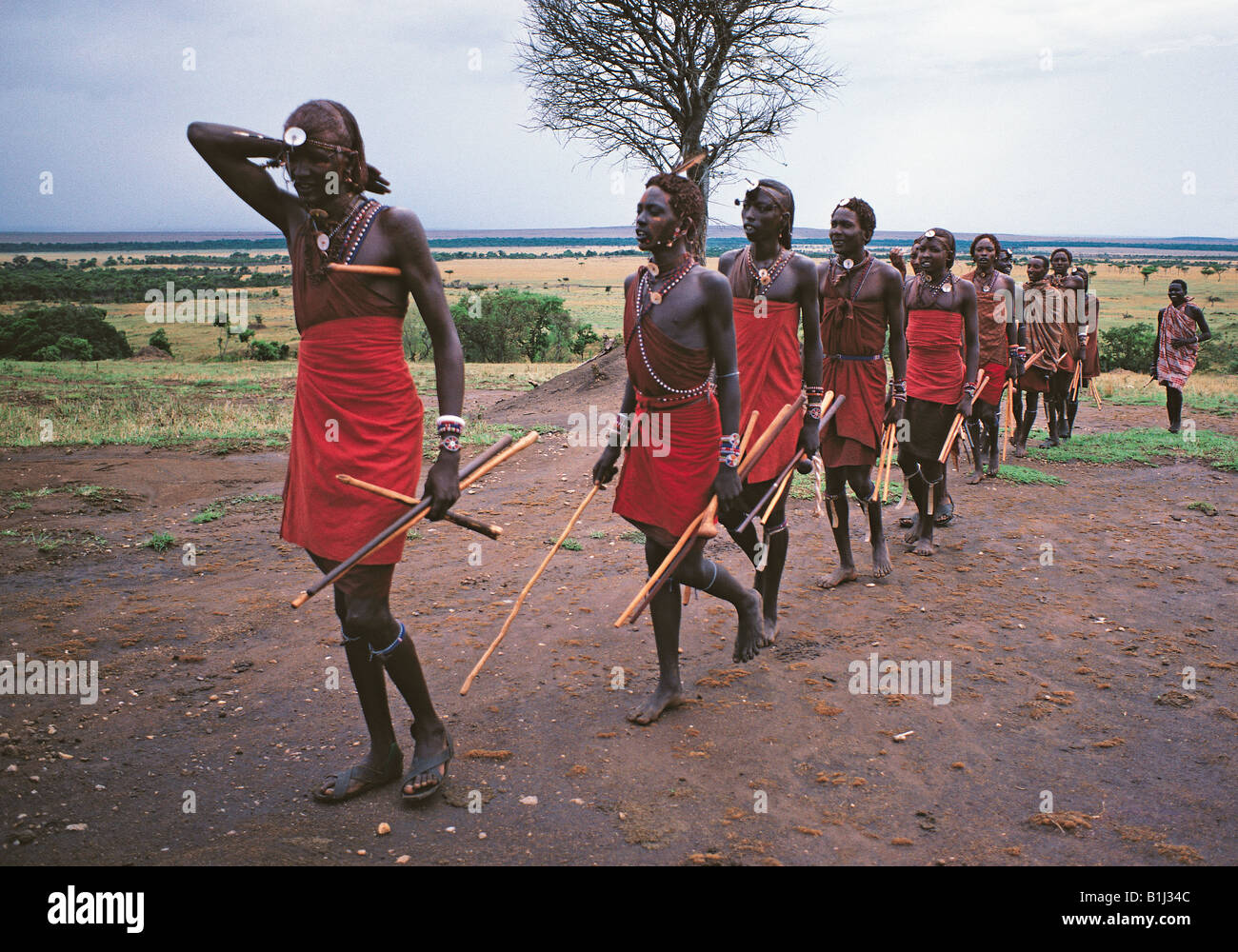 Maasai moran warriors in traditional garb preparing for a dance ngoma ...