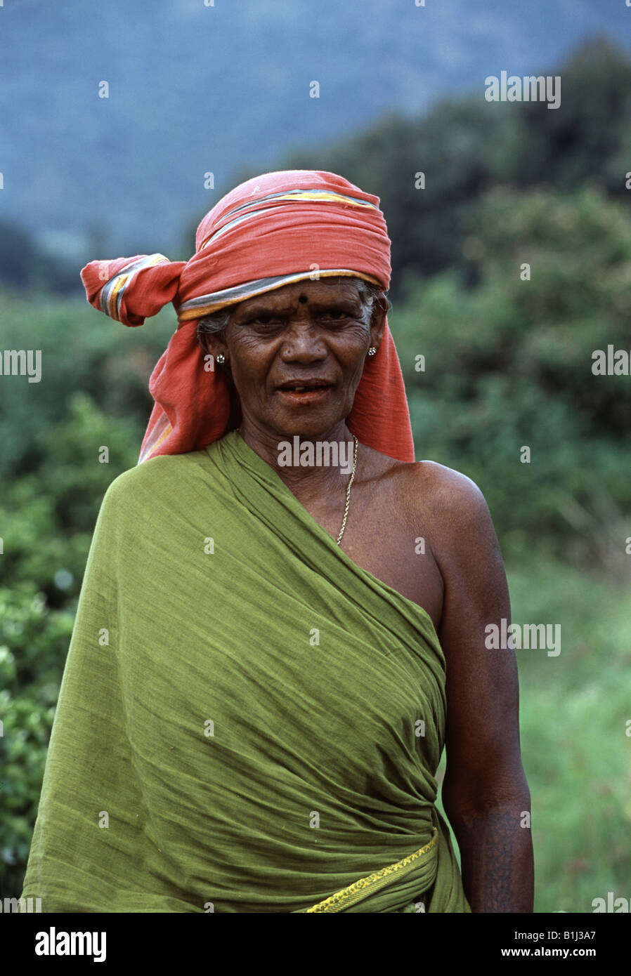 Anaikatti hills hi-res stock photography and images - Alamy