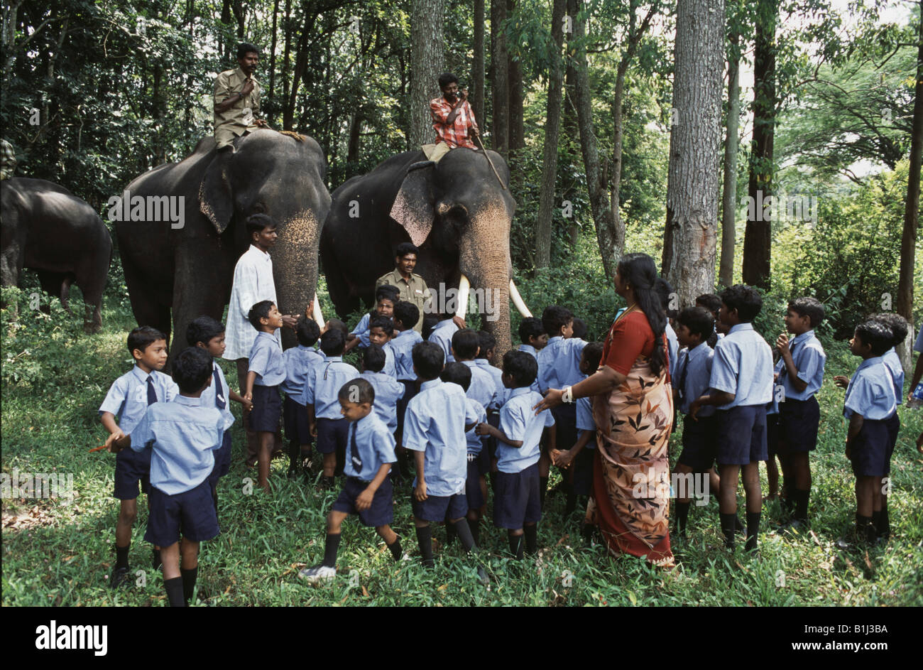 School children looking at elephants at a traditional Elephant Day ...