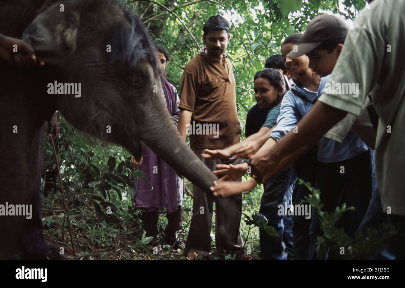 Group of people touching an elephant at a traditional Elephant Day ...