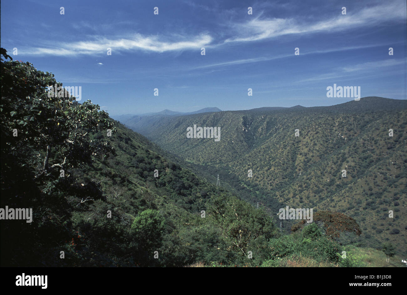 High angle view of a valley, Sigur Peak, Nilgiris, Tamil Nadu, India ...