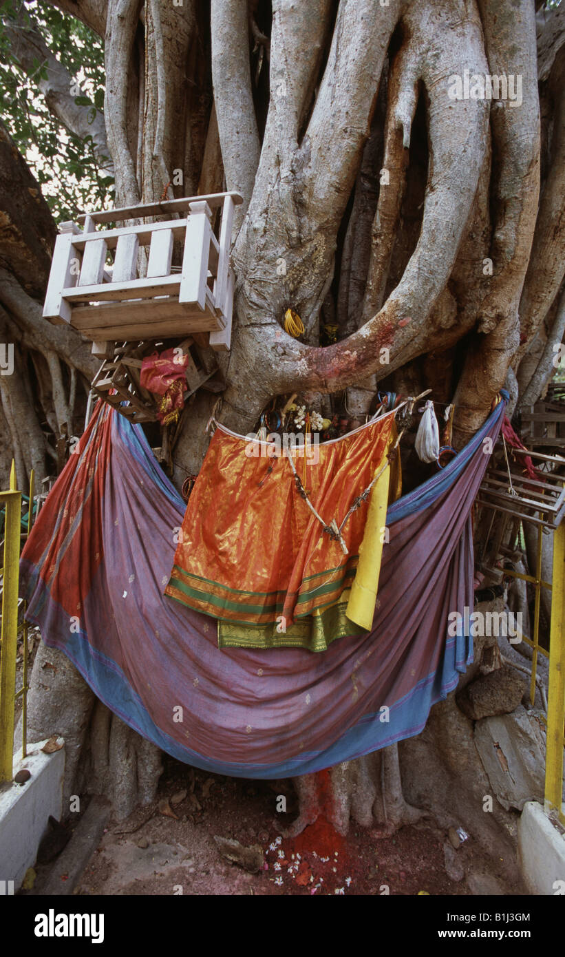 Prayer flags on a tree, Kandanur, Tamil Nadu, India Stock Photo - Alamy
