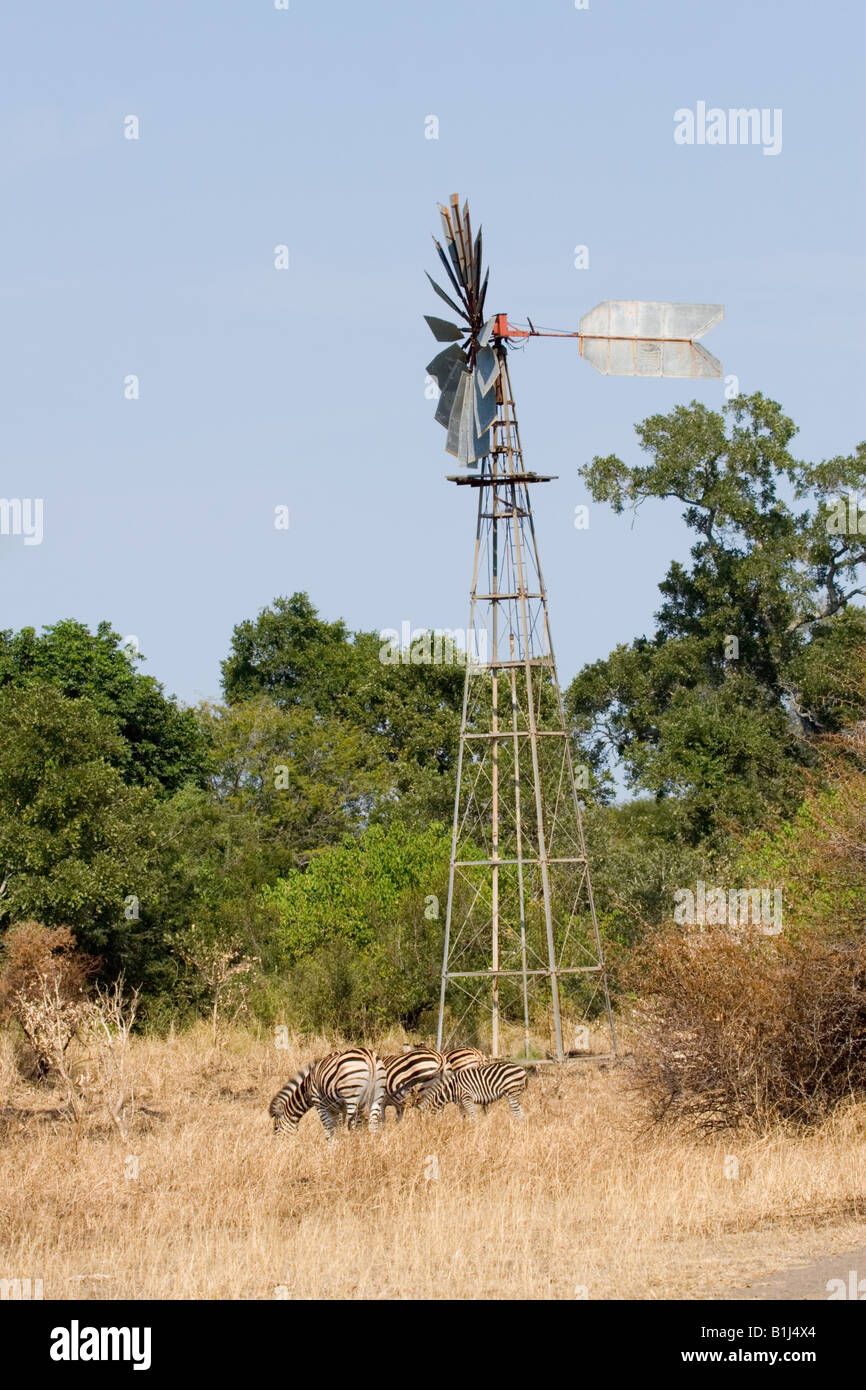 Windmill powered bore hole supplies water to wild animals during ...