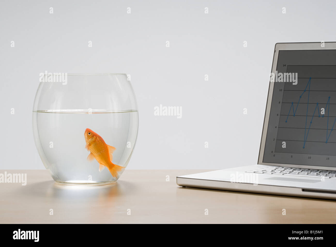 Fish species chart hi-res stock photography and images - Alamy