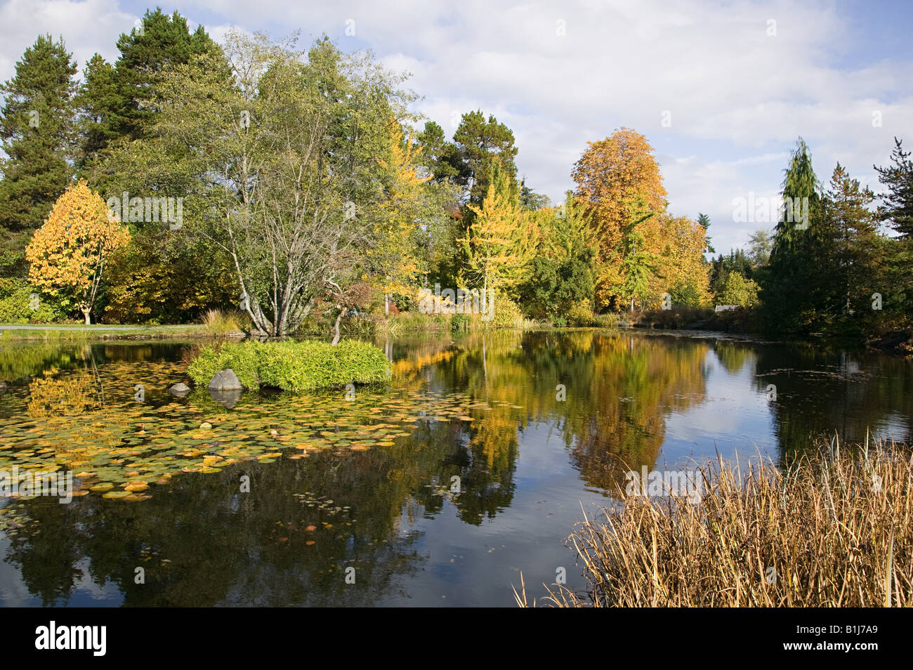 Van dusen botanical gardens vancouver Stock Photo - Alamy