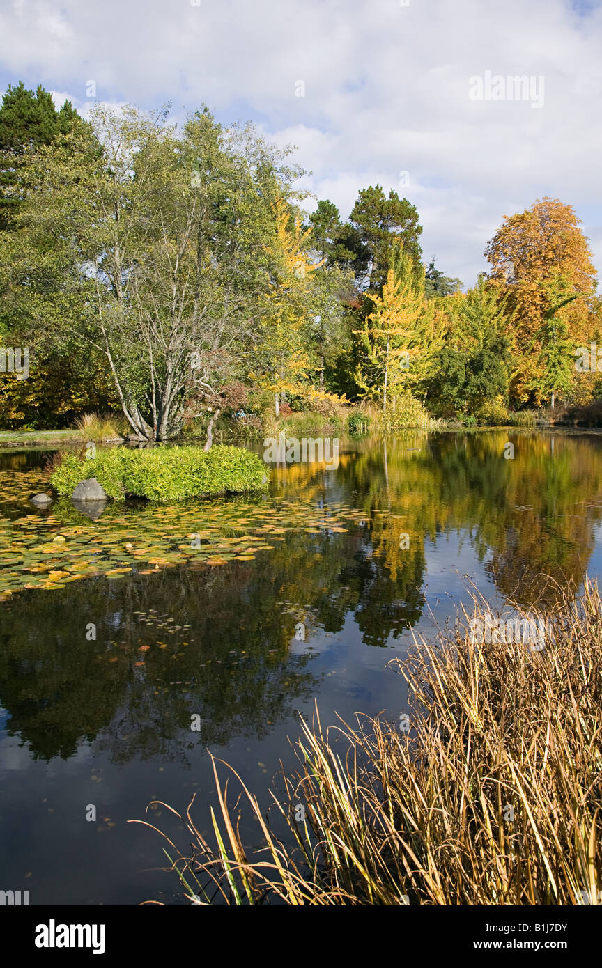 Waterways in autumn hi-res stock photography and images - Alamy