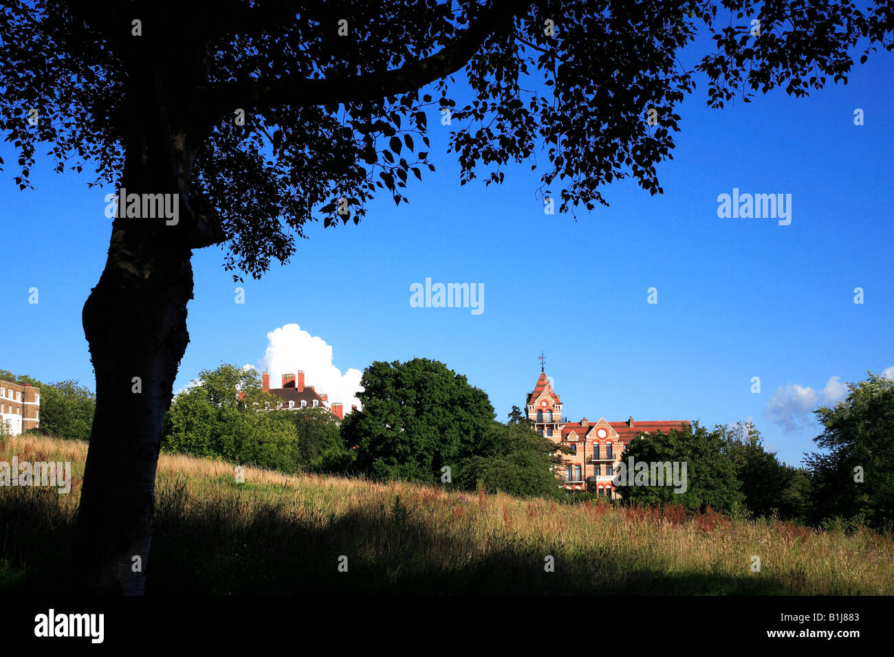 Petersham hotel richmond hi-res stock photography and images - Alamy