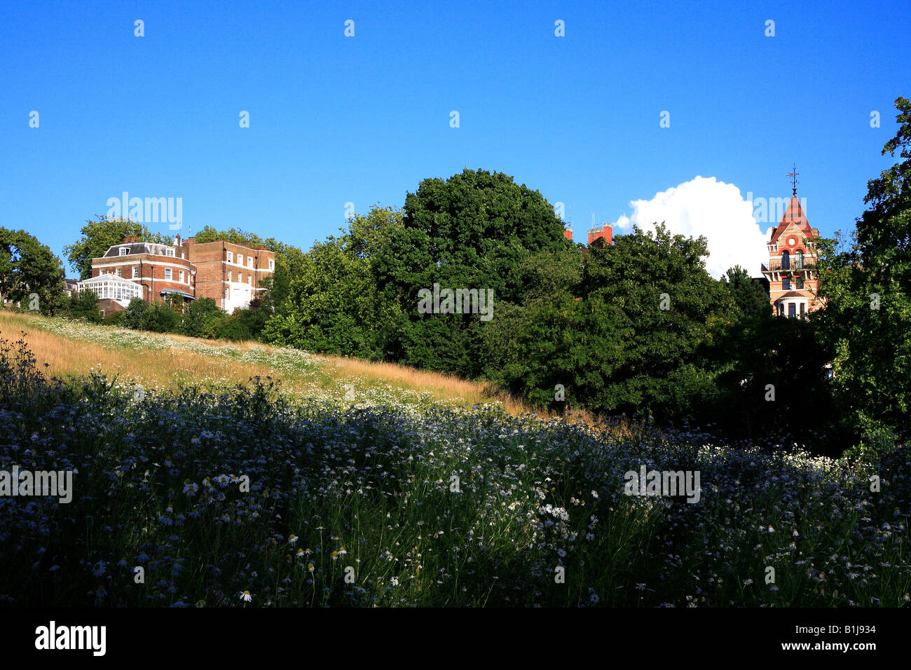 Petersham Hotel Richmond Surrey England Stock Photo - Alamy