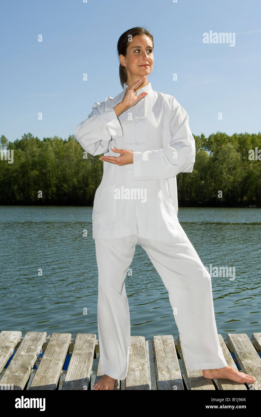 Tai Chi, grasp birds tail Stock Photo - Alamy