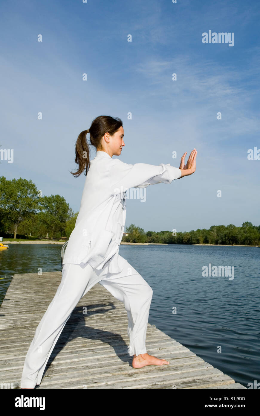 Tai Chi, grasp birds tail Stock Photo - Alamy