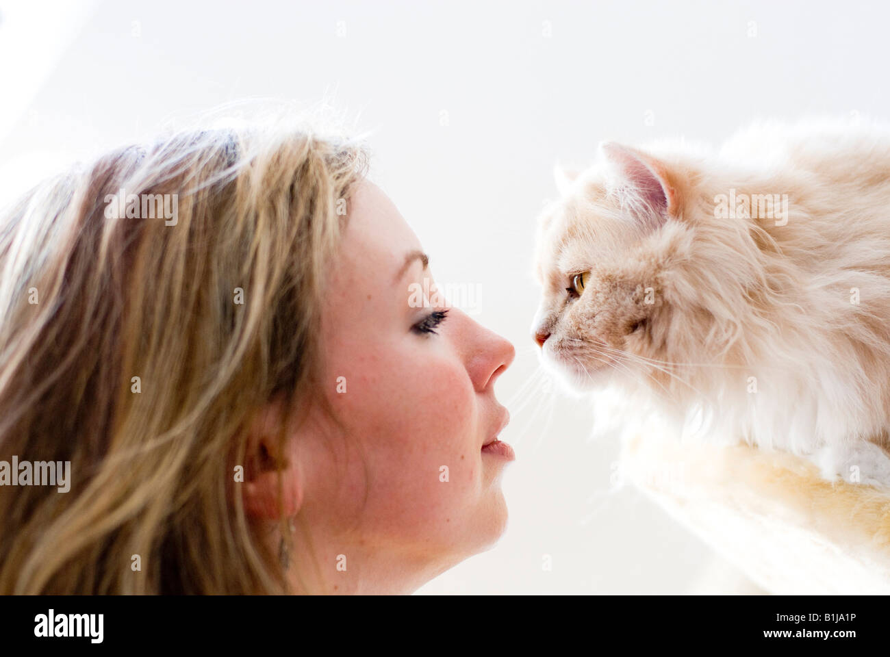 young woman with cat, side-face Stock Photo - Alamy