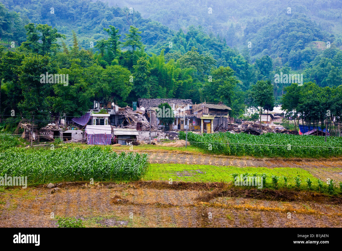 earthquake wenchuan sichuan china 12 may 2008 Stock Photo - Alamy