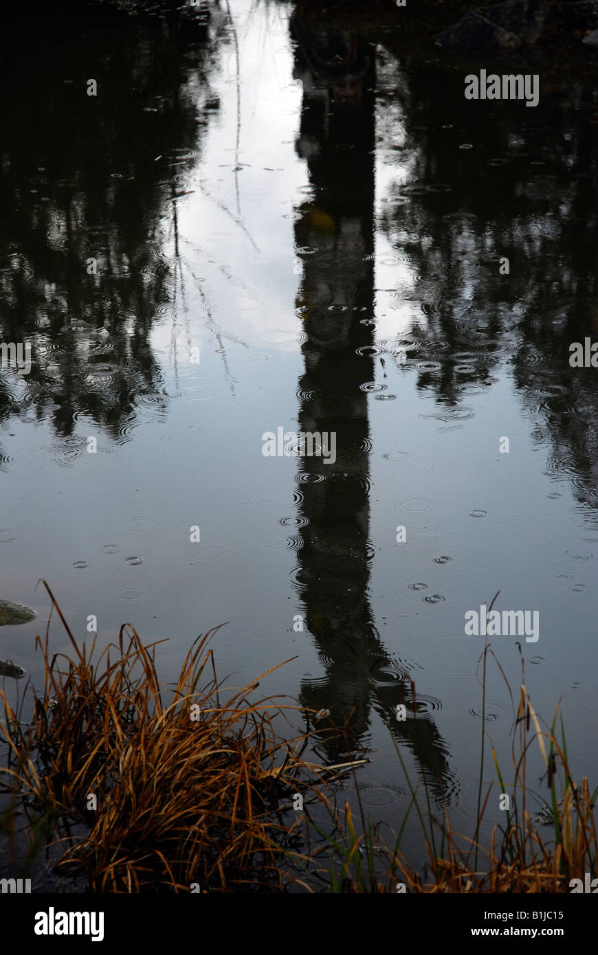 American Indian totem pole reflection Vancouver British Columbia Canada ...