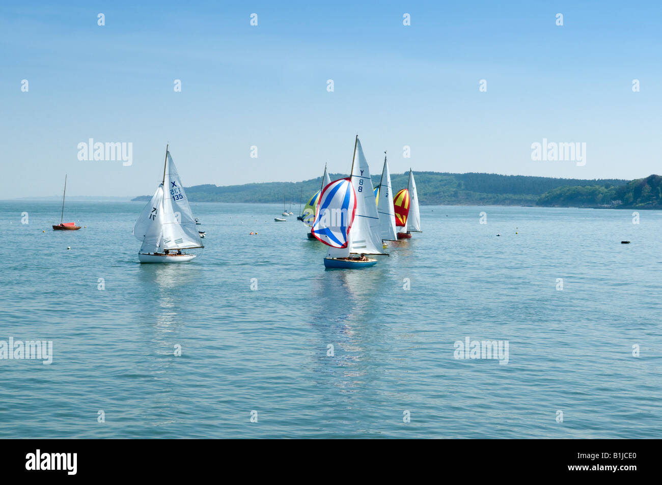 many sailing boats on the sea Stock Photo - Alamy