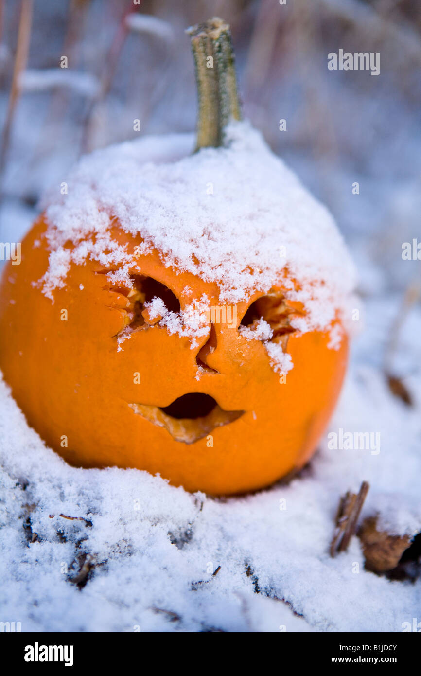 Winter Is Coming Pumpkin