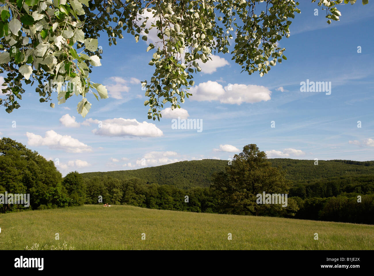 Recreation area in vienna hi-res stock photography and images - Alamy