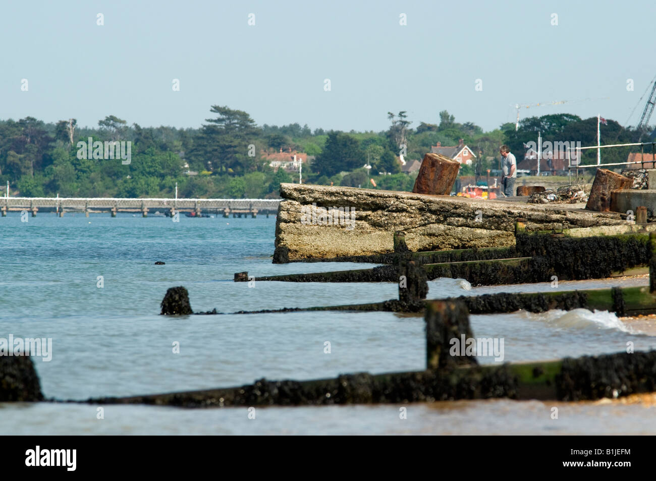 beach view with wooden break waters groins and concrete peir Stock ...