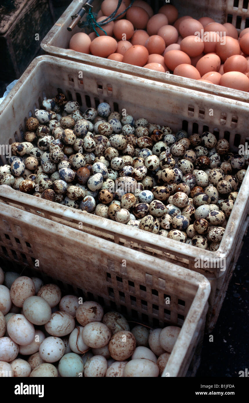 eggs on a market, China, Chengdu Stock Photo - Alamy