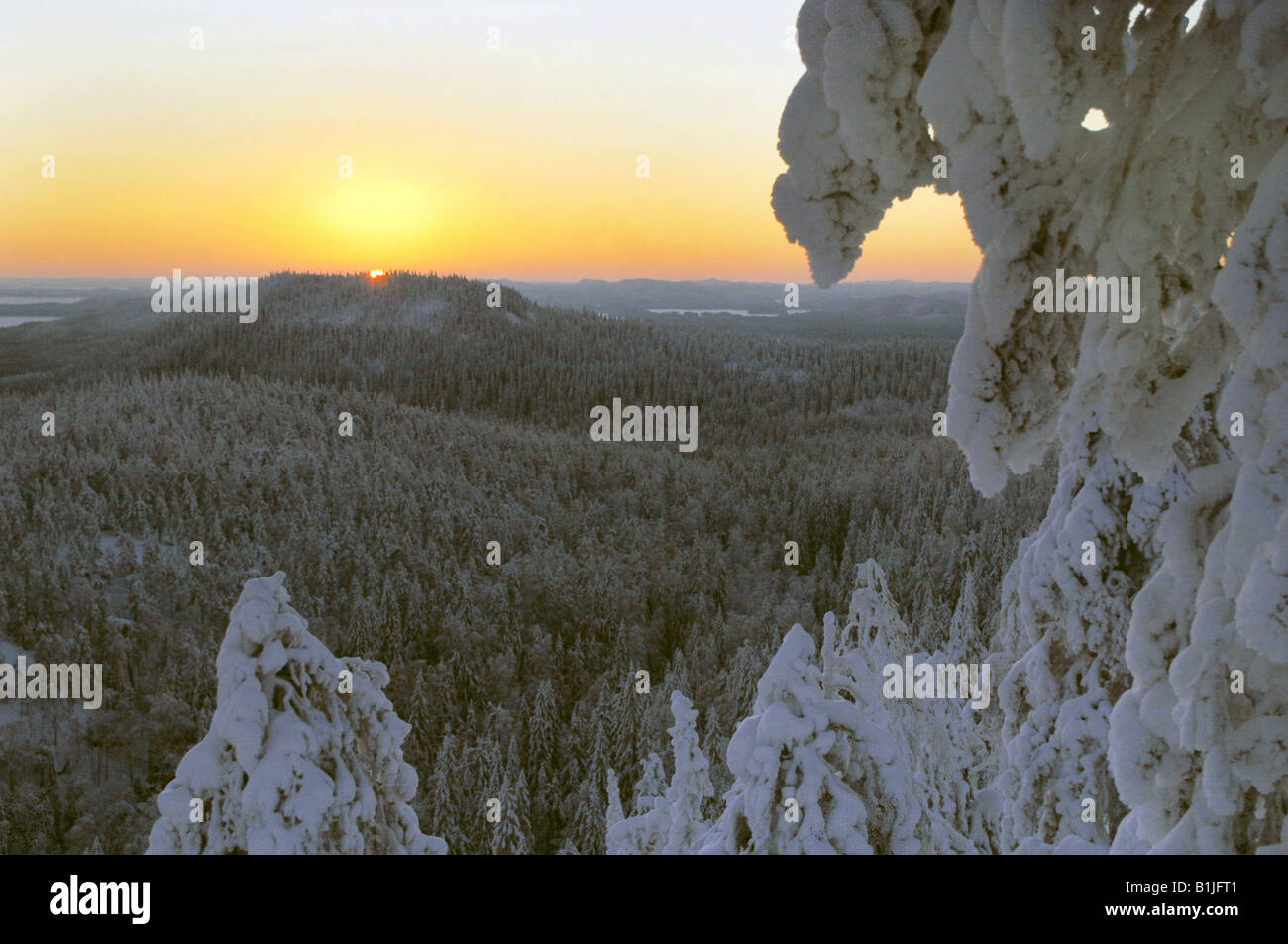 Koli National Park Winter High Resolution Stock Photography and Images ...
