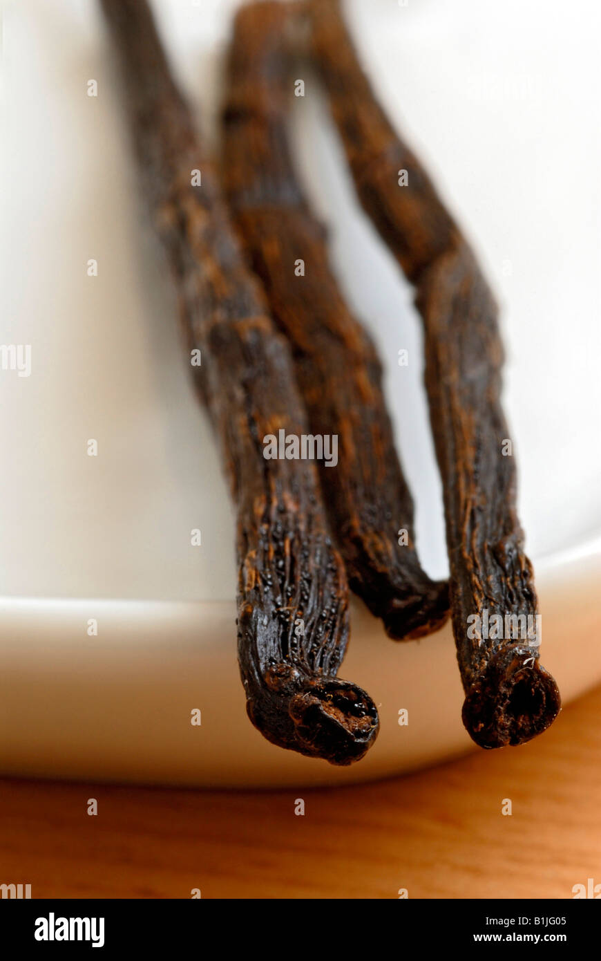 Vanilla orchid pods planifolia hi-res stock photography and images - Alamy