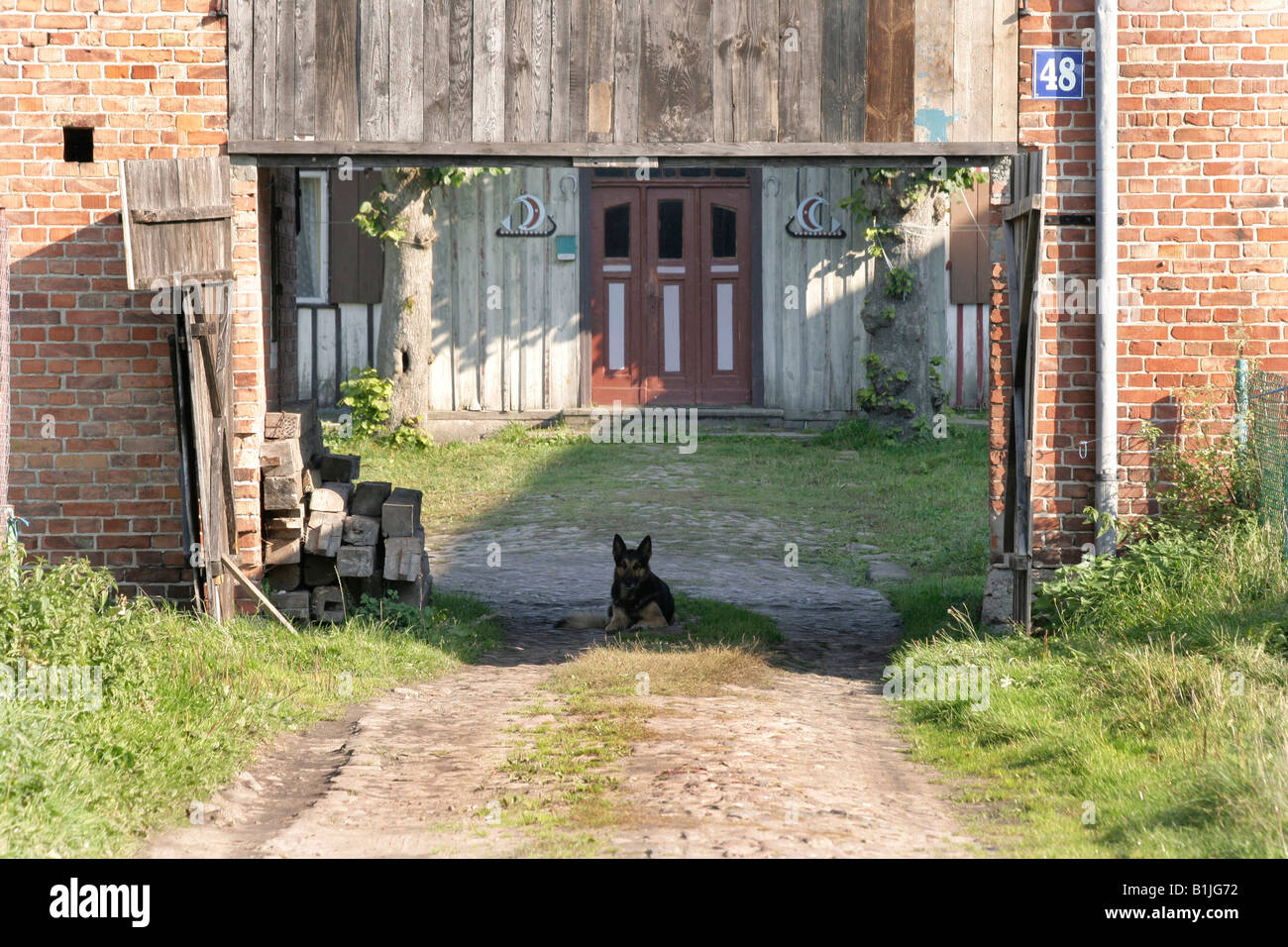 Watchdog lying in the entrance of a farm hi-res stock photography and ...
