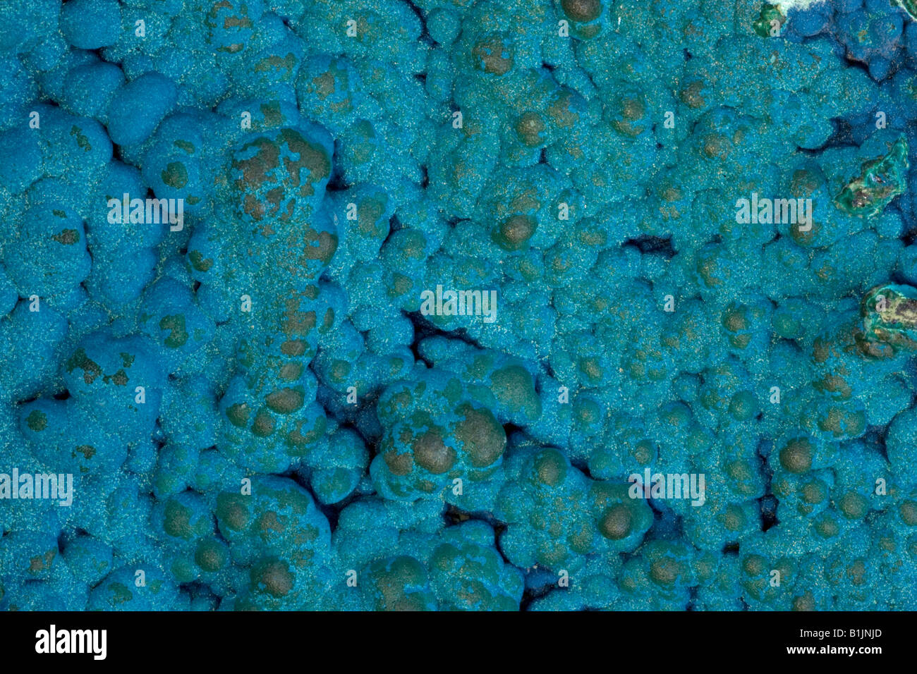 Cornetite - Rare Copper Ore - Congo - Africa Stock Photo - Alamy