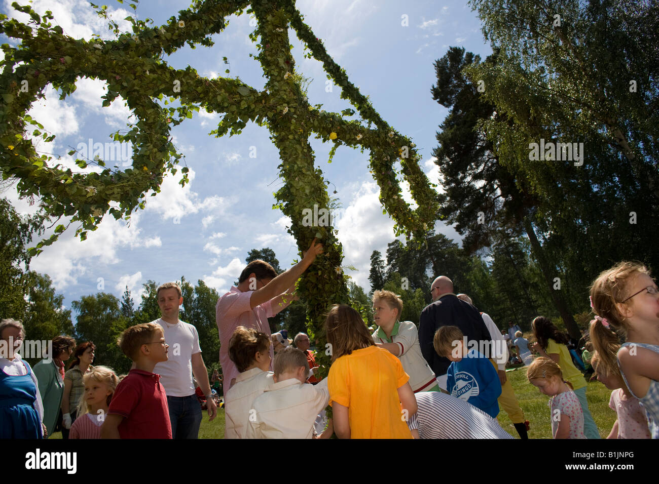 Setting up the Maypole at Midsummer (Sweden Stock Photo - Alamy
