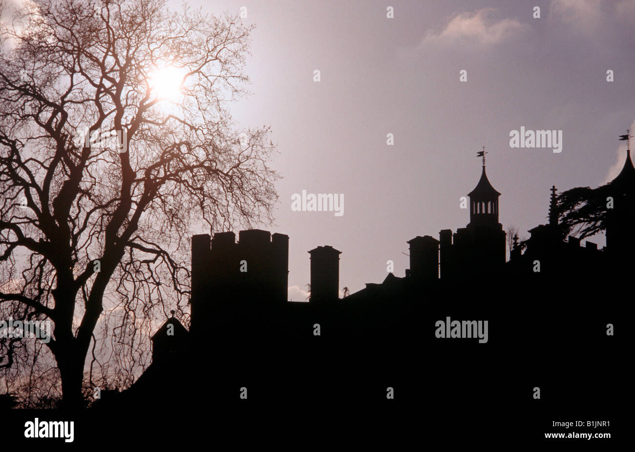Silhouette of castle like buildings and tree against a broody sky in ...