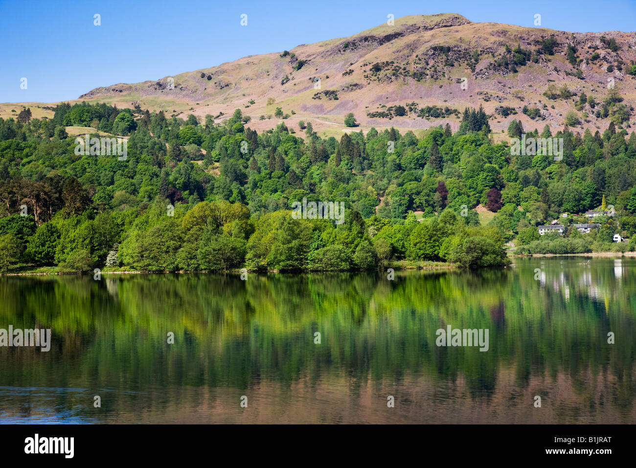 Lake Grasmere Spring In May With Cottages Houses Around The Lakeshore ...