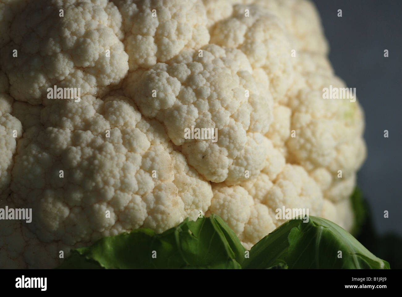 Cauli flower hi-res stock photography and images - Alamy
