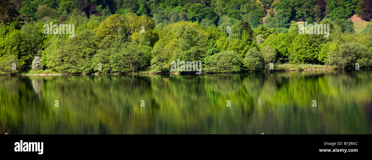 Lake Grasmere Early Spring Colours On Trees And Forest Around The Lakes ...