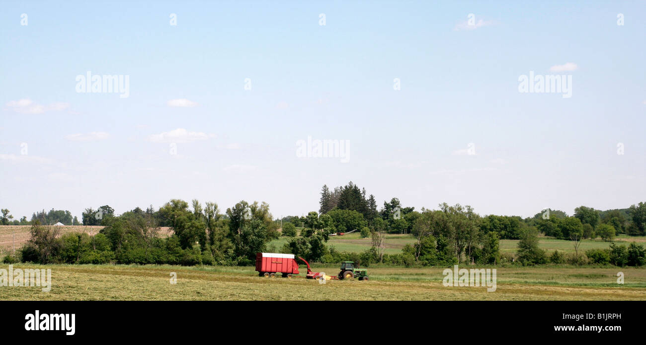 Panorama of Midwest farm field being hayed Stock Photo - Alamy