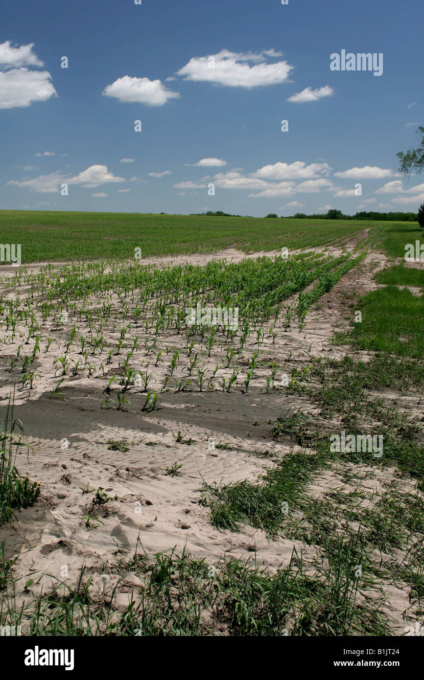 Erosion field maize hi-res stock photography and images - Alamy