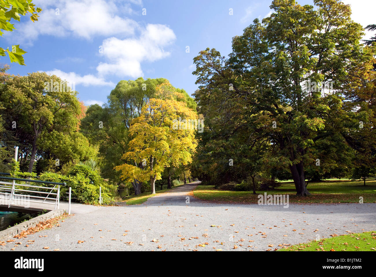 Autumn colours in Hagley Park in Christchurch, South Island, New ...