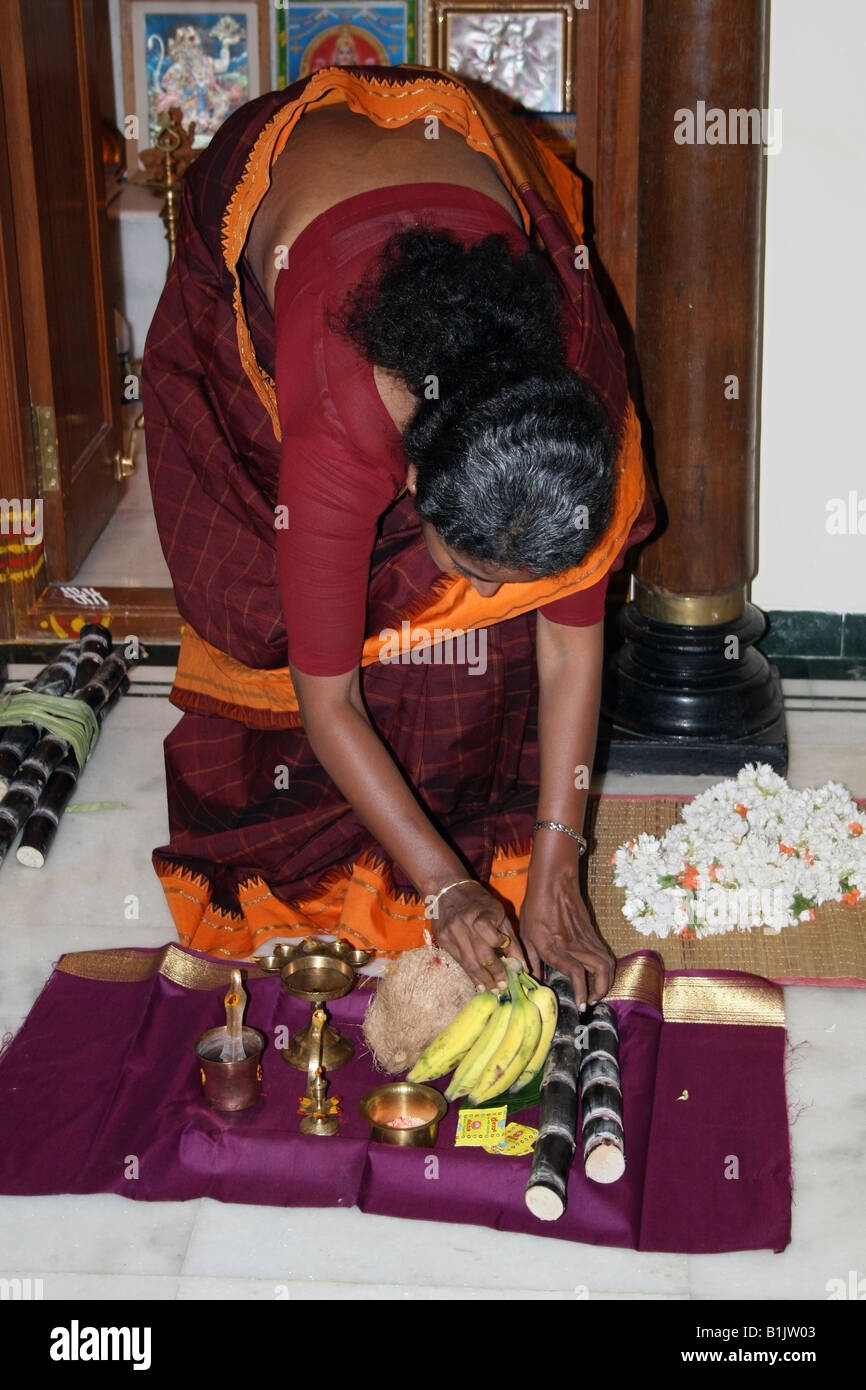 Indian Hindu lady prepares the items needed for Pongal pooja at her ...