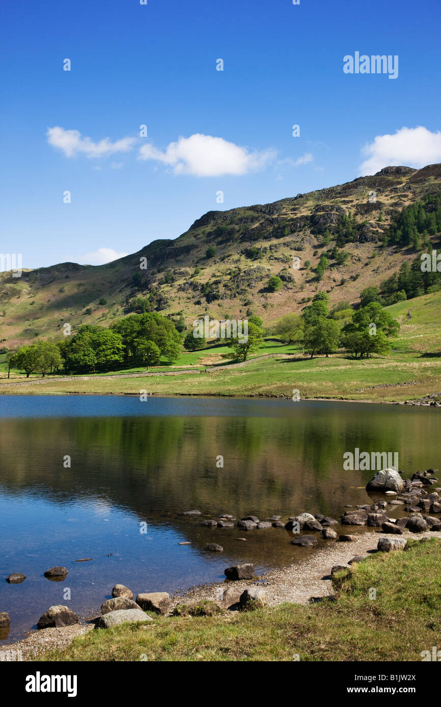 Blea Tarn In May Spring Colours And Trees Mountain Reflections On The ...