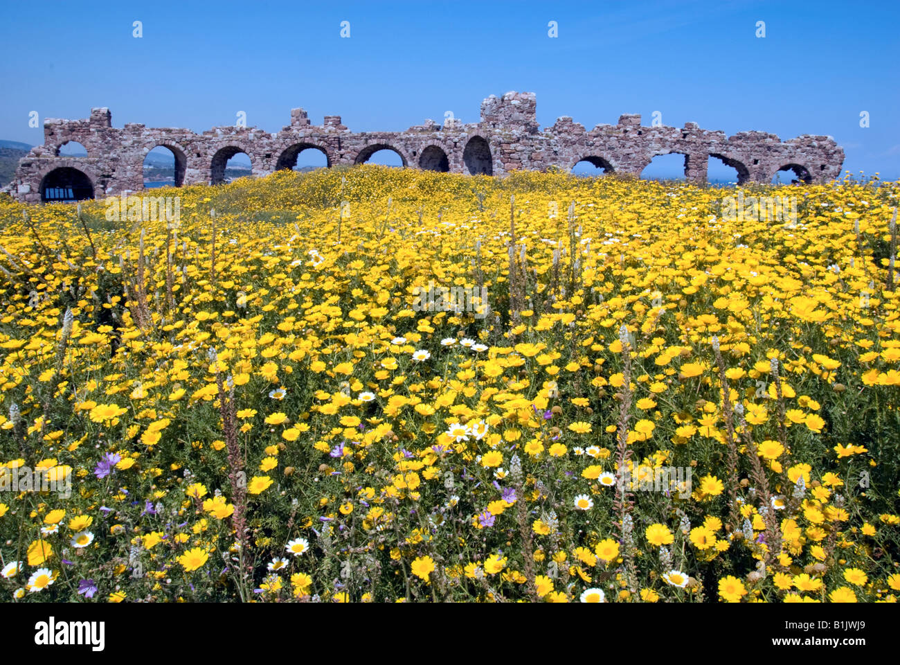 Fortress with flowers hi-res stock photography and images - Alamy