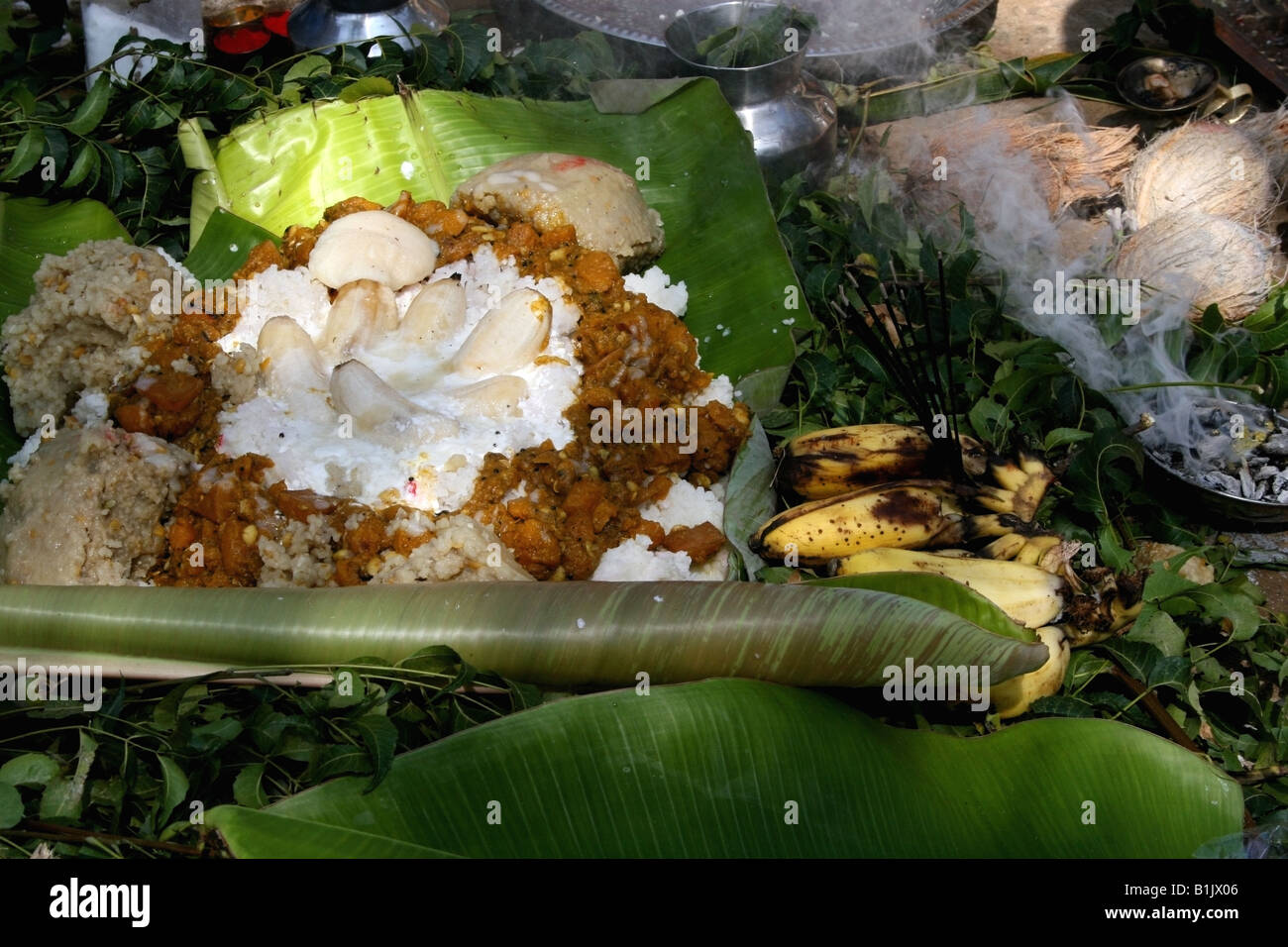 Special cow pooja for Pongal outside a cowshed , Tamil Nadu , India ...