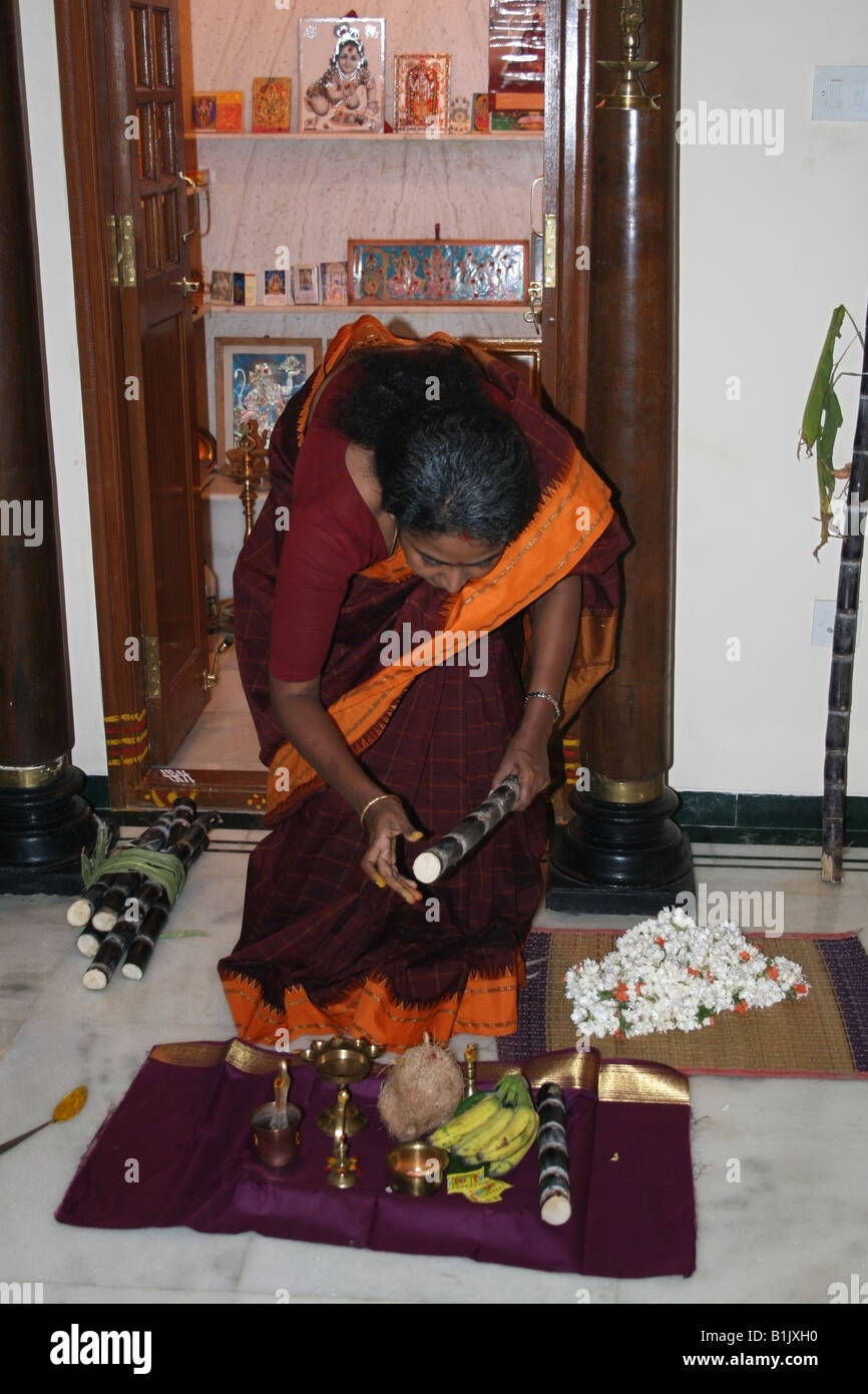 Indian Hindu lady prepares the items needed for Pongal pooja at her ...
