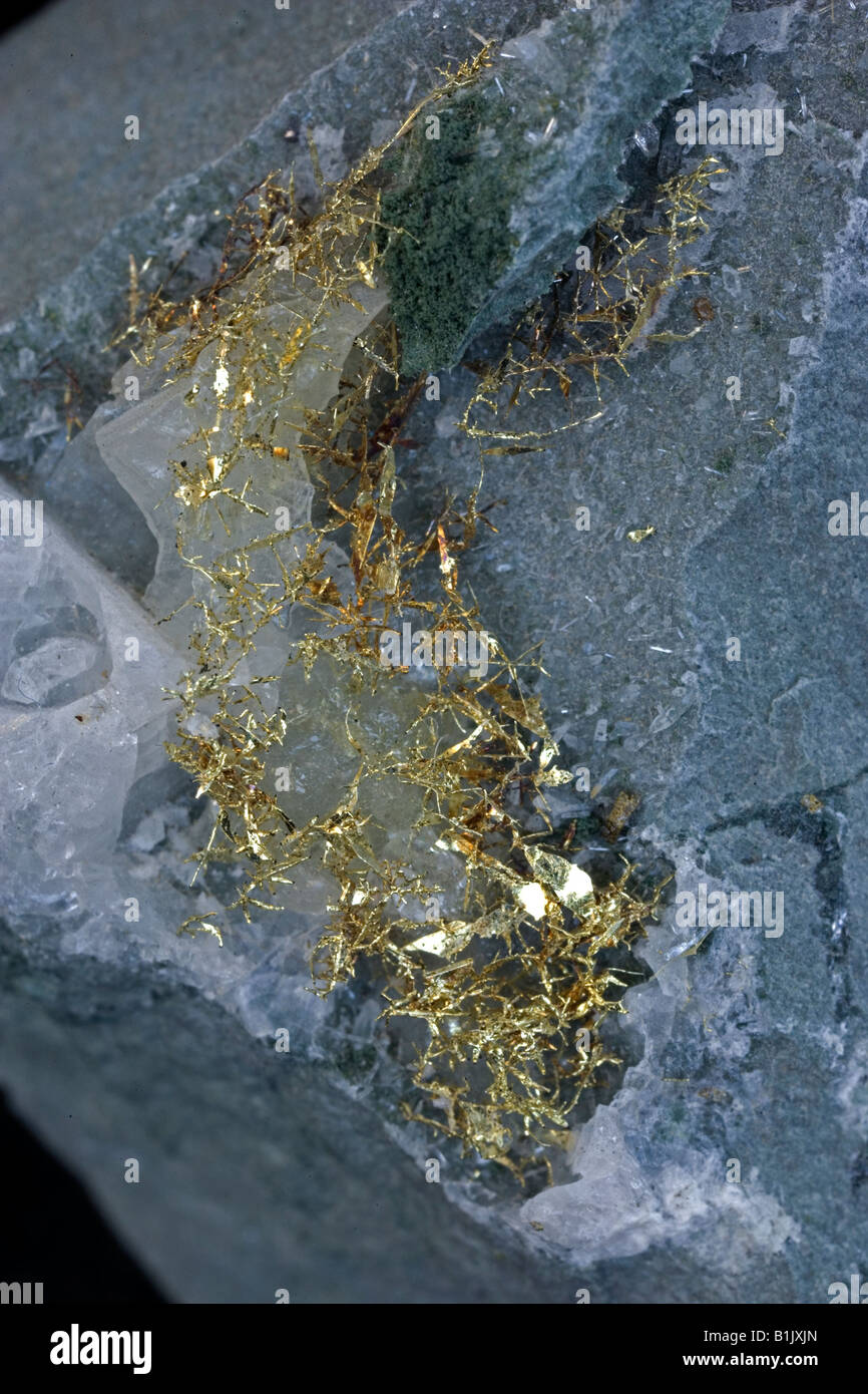 Crystalline Gold in volcanic Andesite - Olinghouse Mine - Washoe County ...