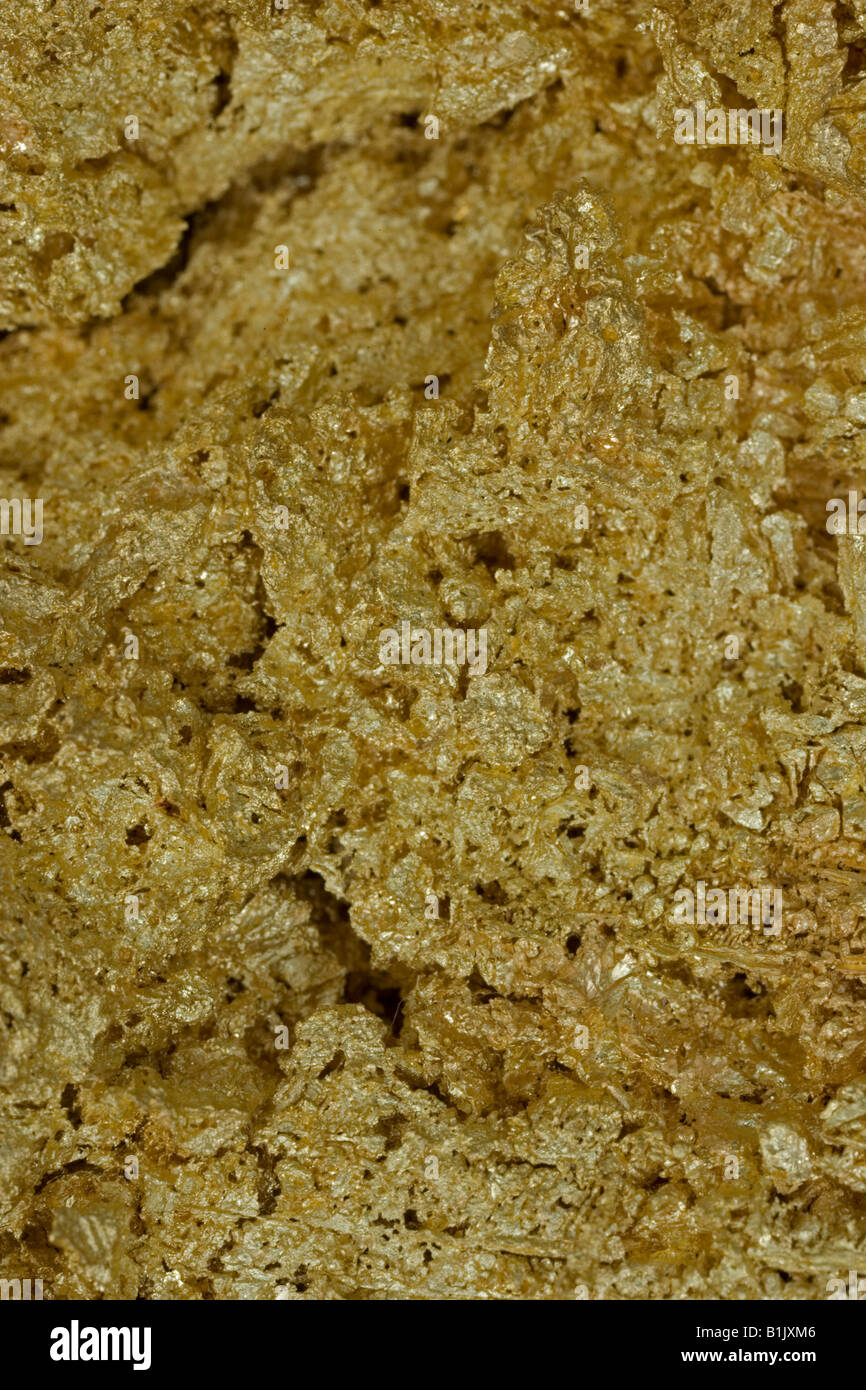 Crystalline Gold Specimen -Western Australia -Detail of 96 ounce gold ...