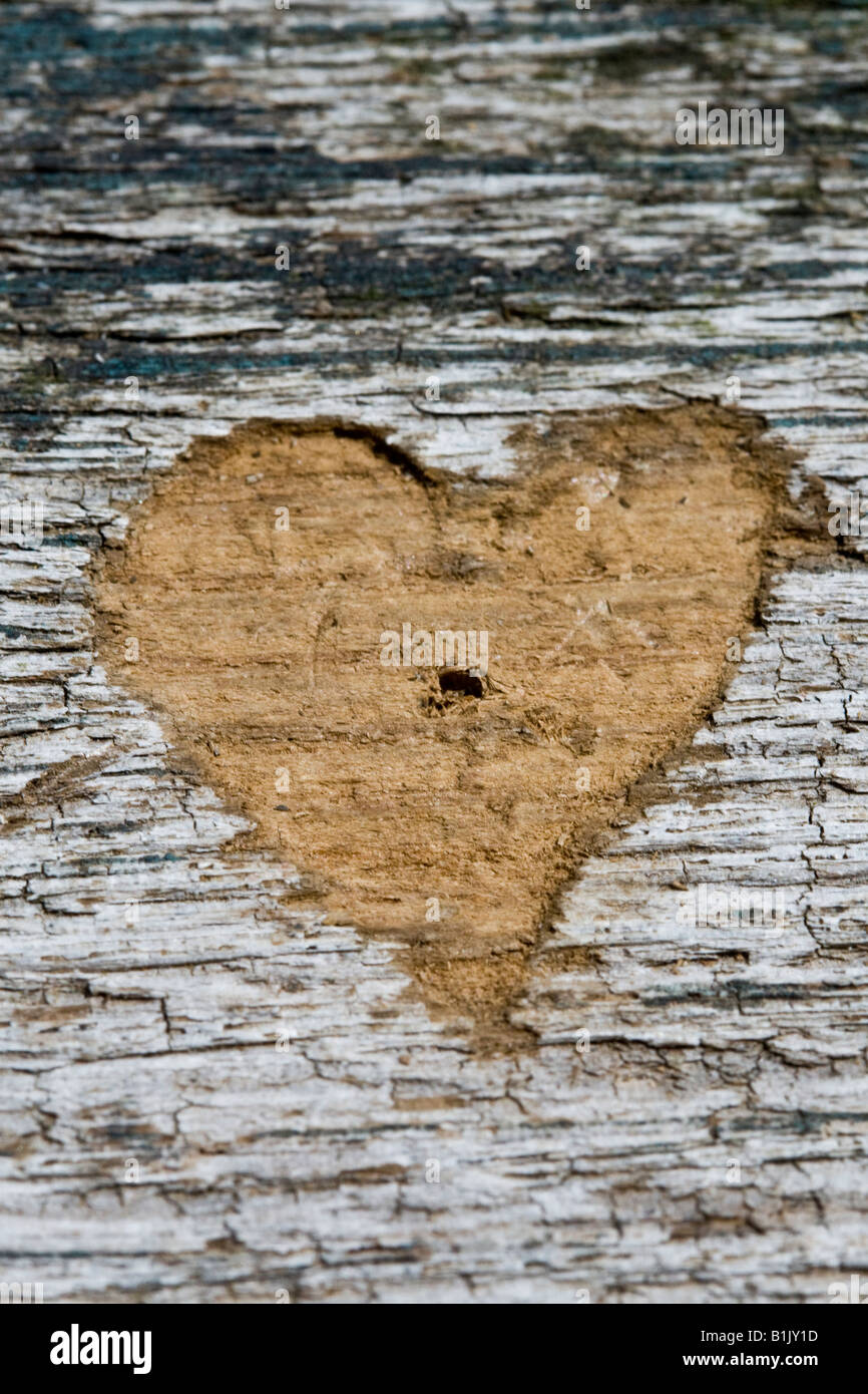 Heart shape carved in Wood Stock Photo - Alamy