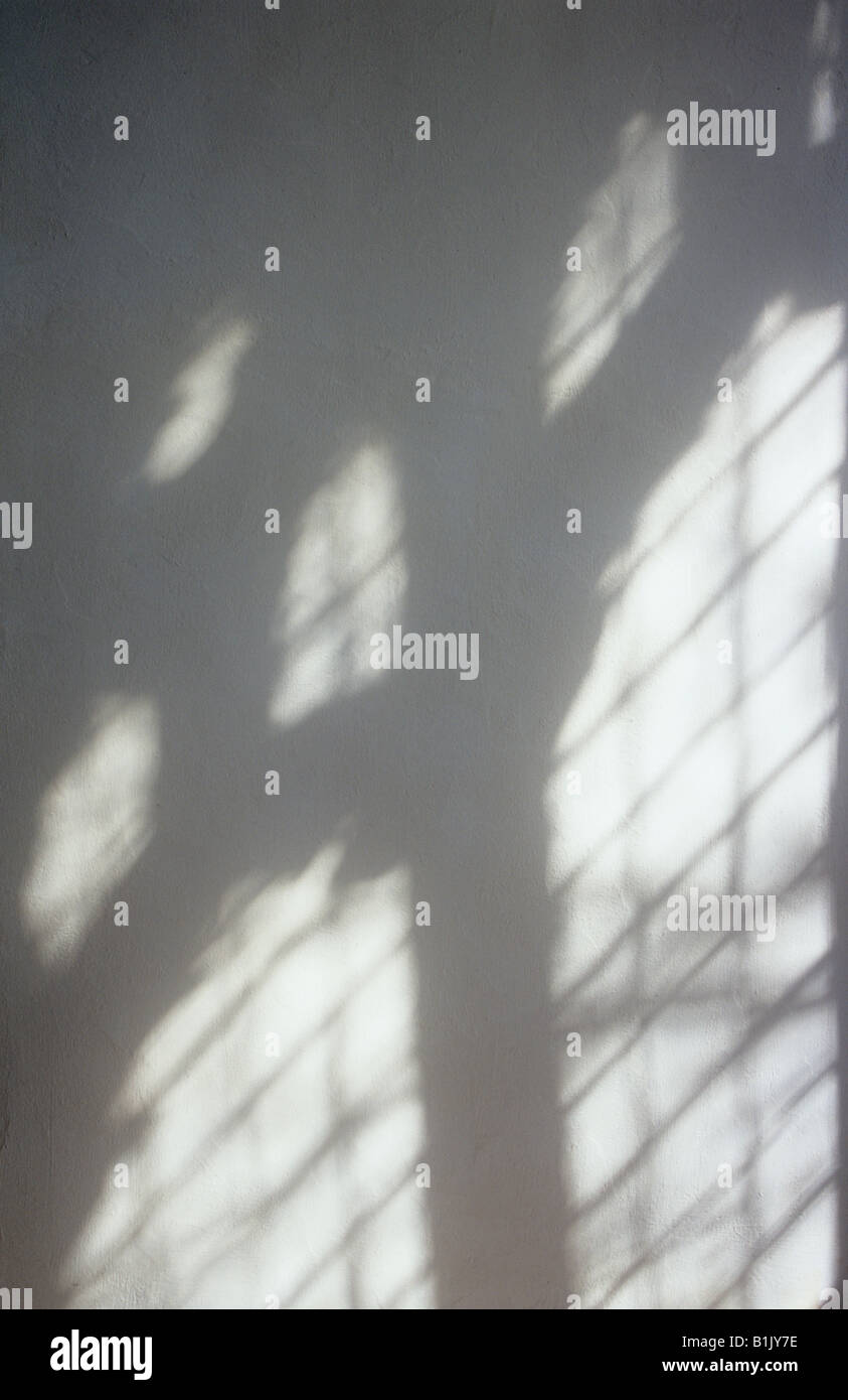 Clear small square leaded window in English Gothic style projected with ...