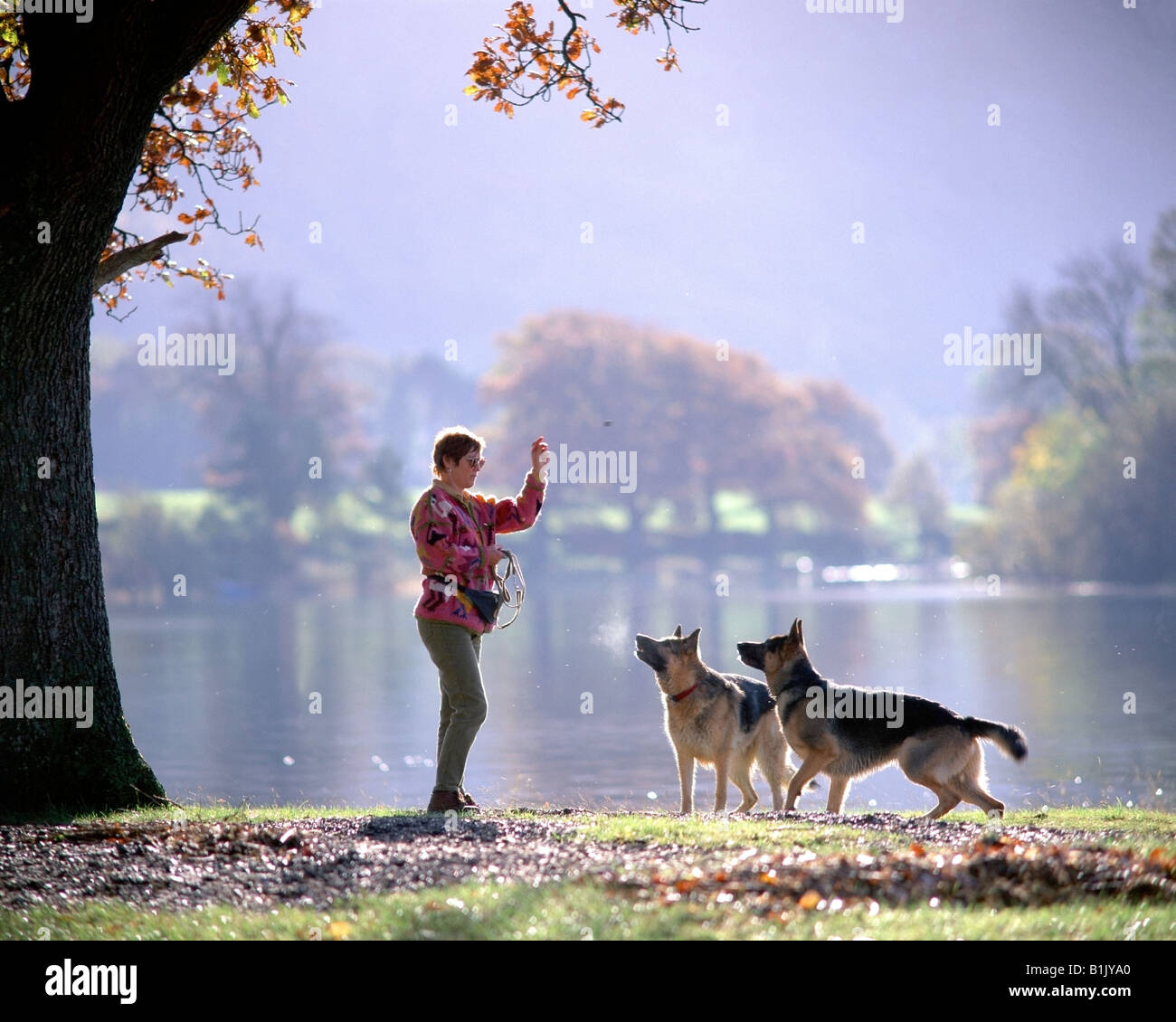 Woman and two dogs hi-res stock photography and images - Alamy