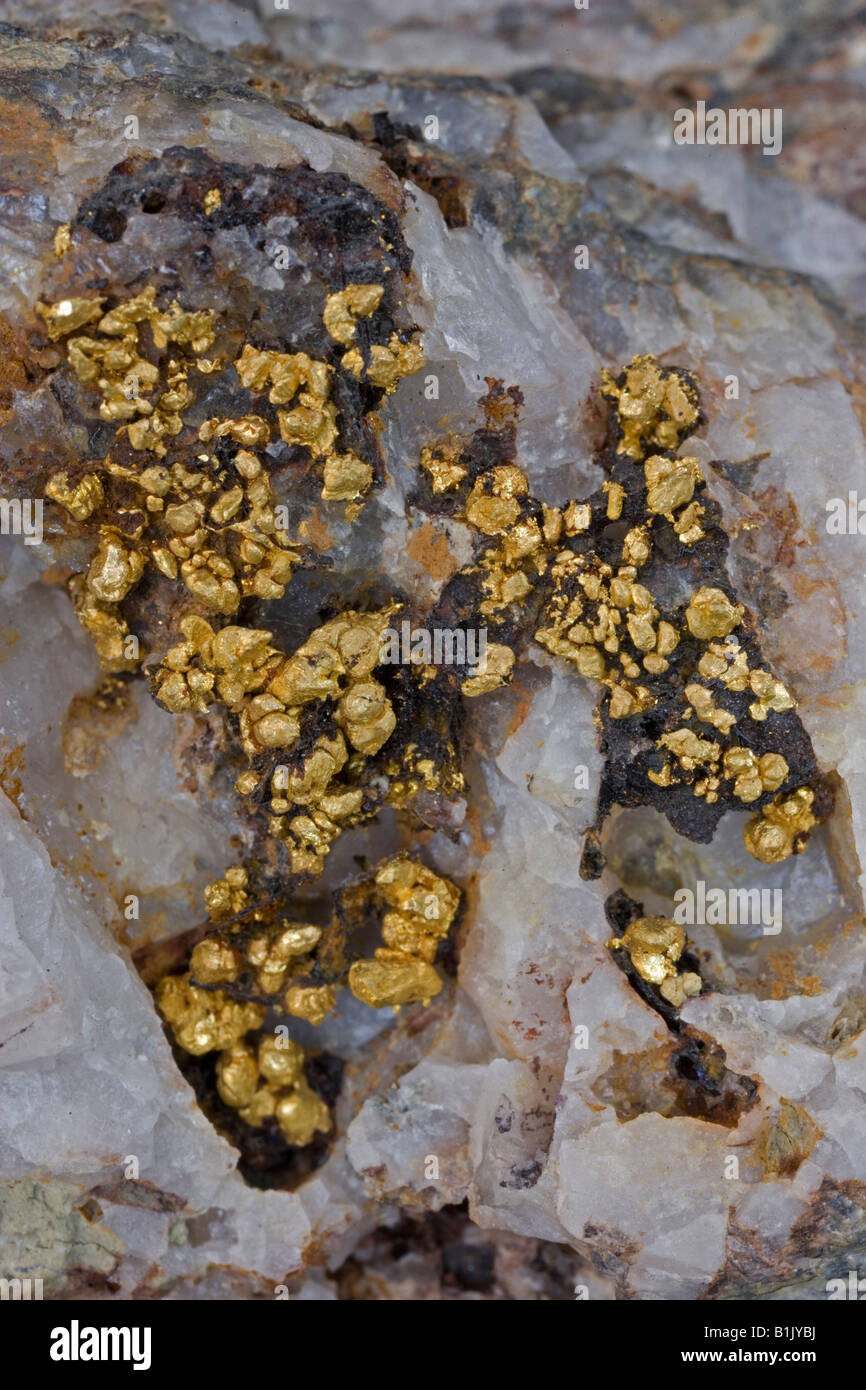 Gold specimen hi-res stock photography and images - Alamy