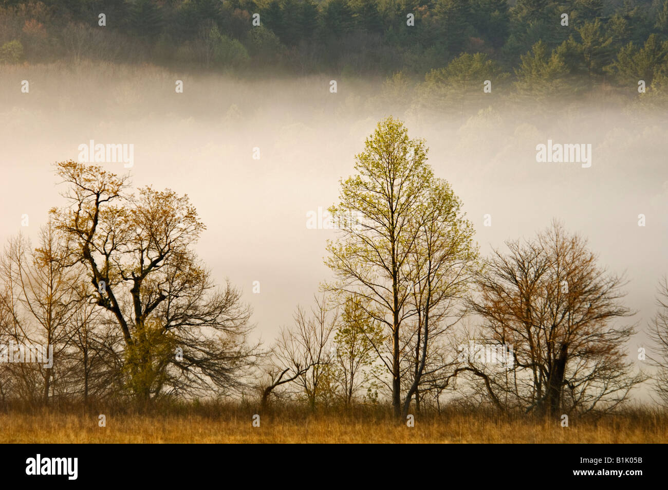 Early morning low lying mist hi-res stock photography and images - Alamy