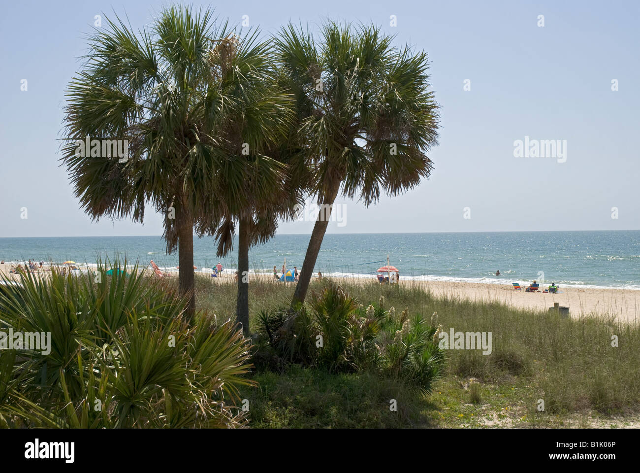 beach along St George Island Florida Stock Photo - Alamy
