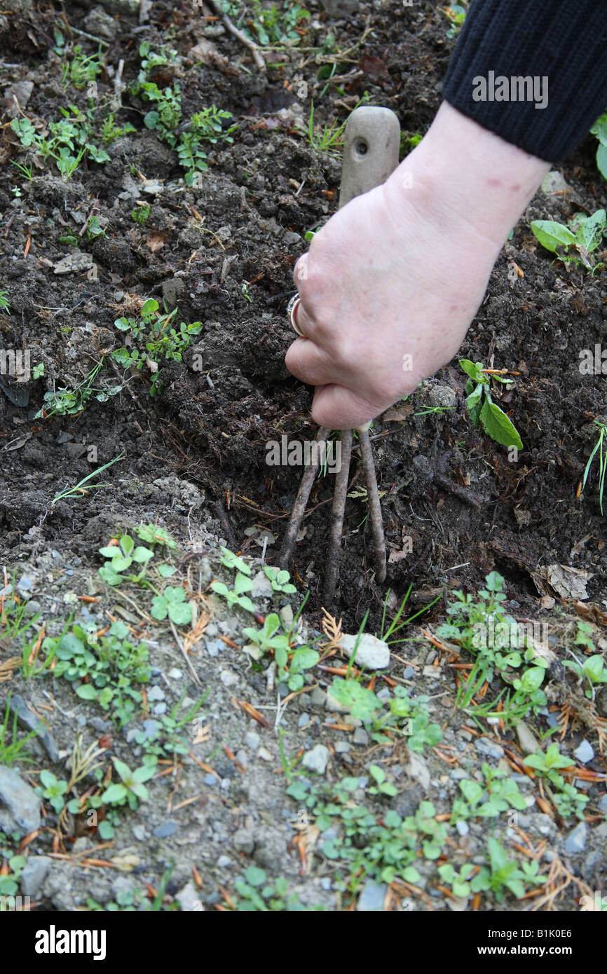 Hand weeding hi-res stock photography and images - Alamy